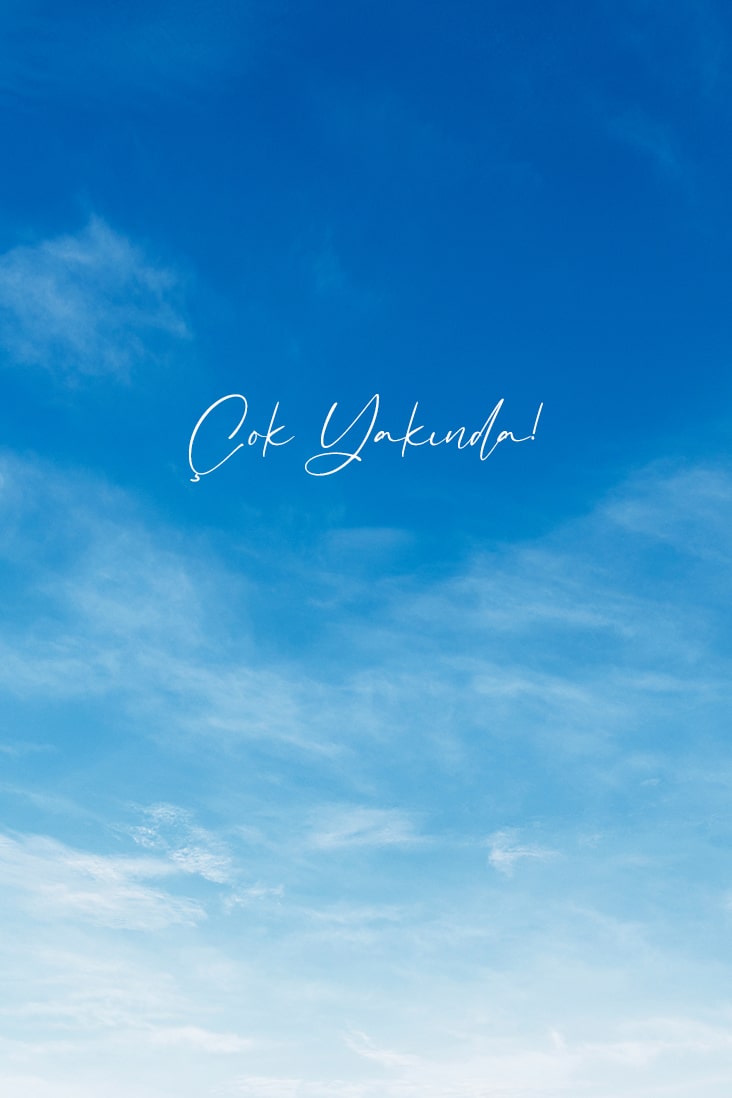 Projeler | Viven İnşaat